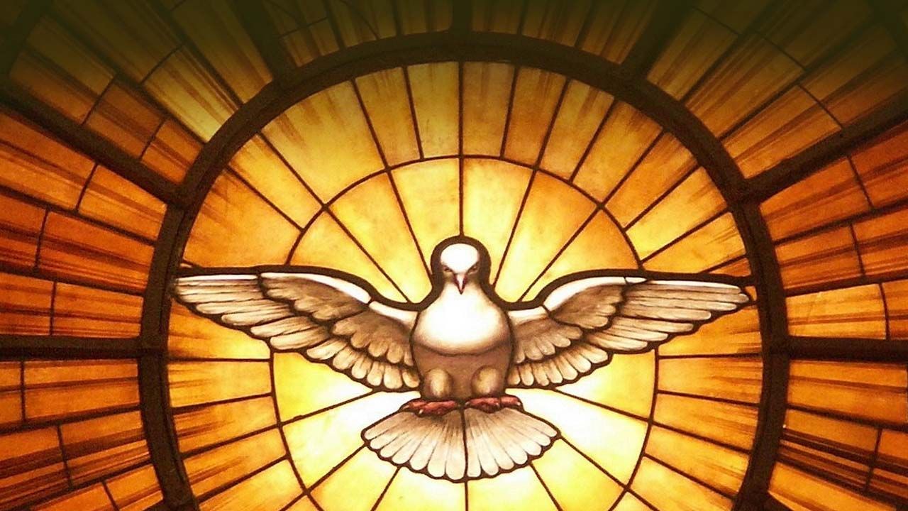 Catholic Baptism Symbols Dove