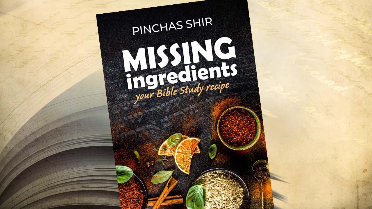  Missing Ingredients By Pinchas Shir